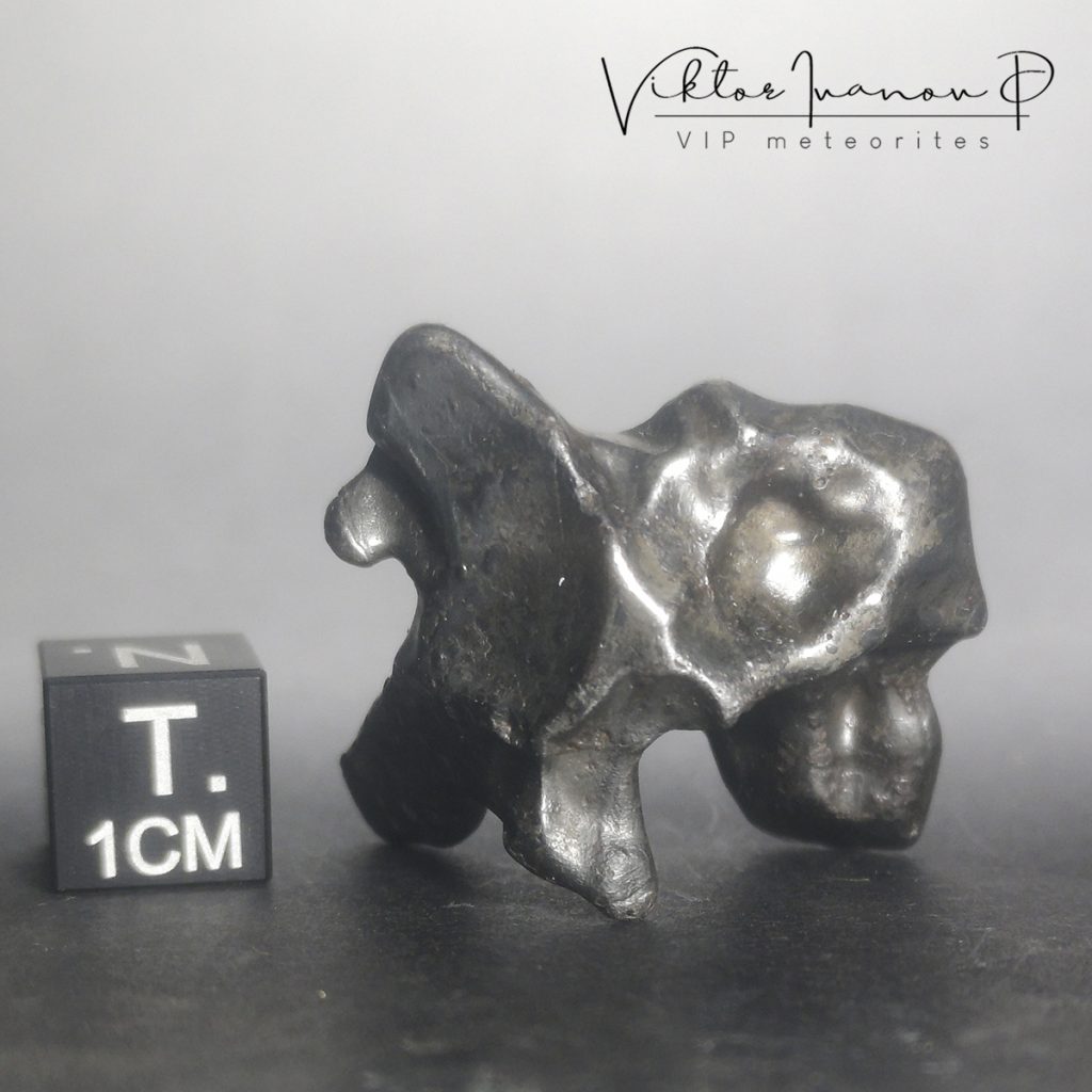 Sikhote Alin. Iron IIAB meteorite (47.87g) - VIP Meteorites