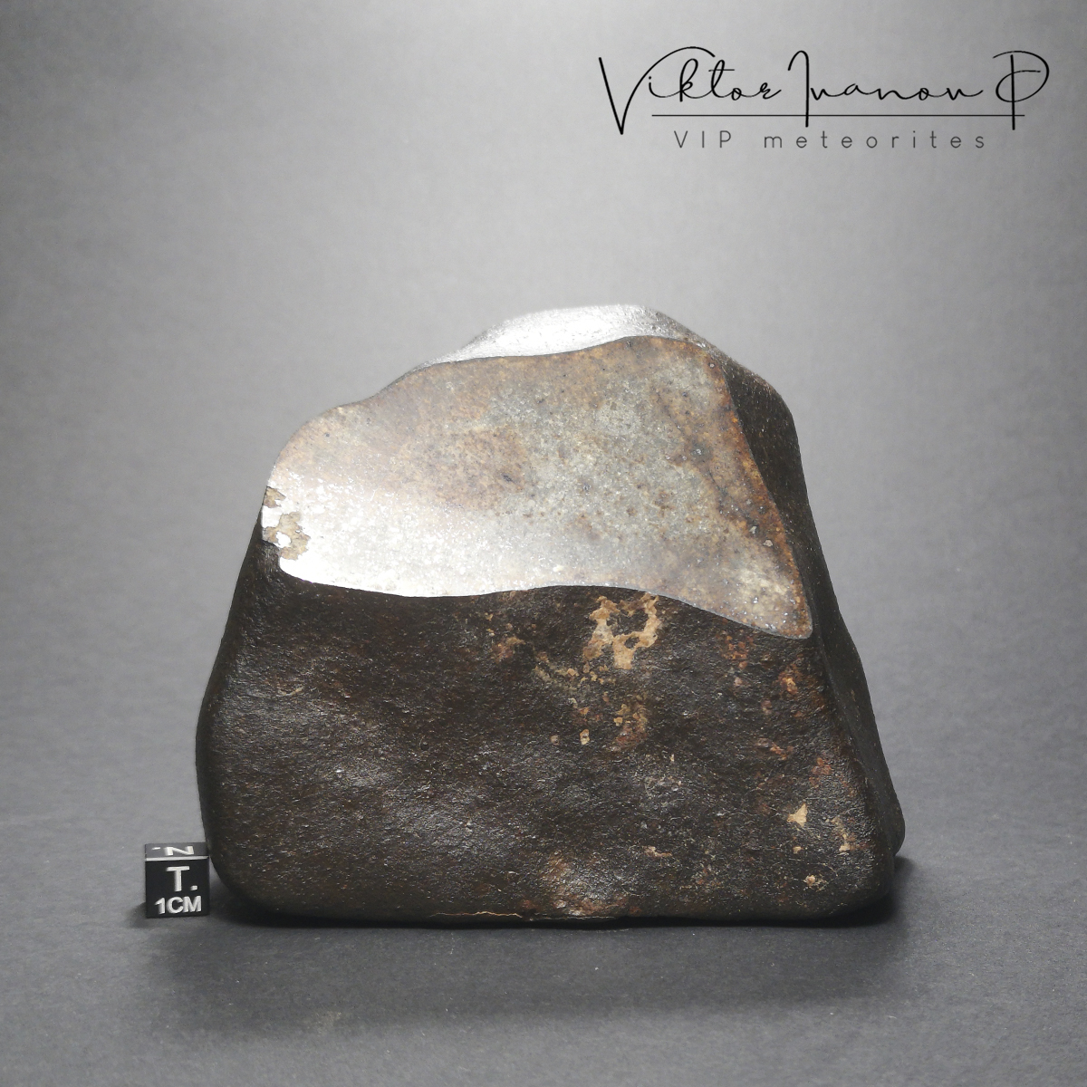 Home - VIP Meteorites