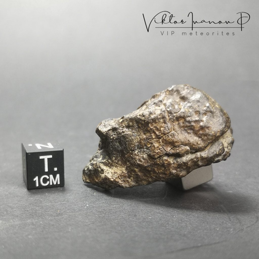 CV3 Carbonaceous chondrite meteorite (21g) - VIP Meteorites