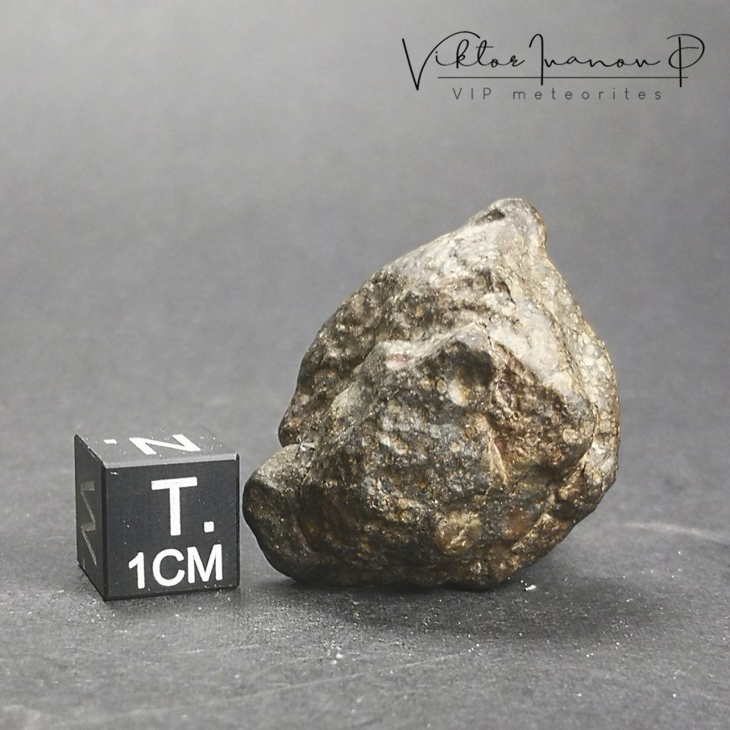 CV3 Carbonaceous chondrite meteorite (21g) - VIP Meteorites