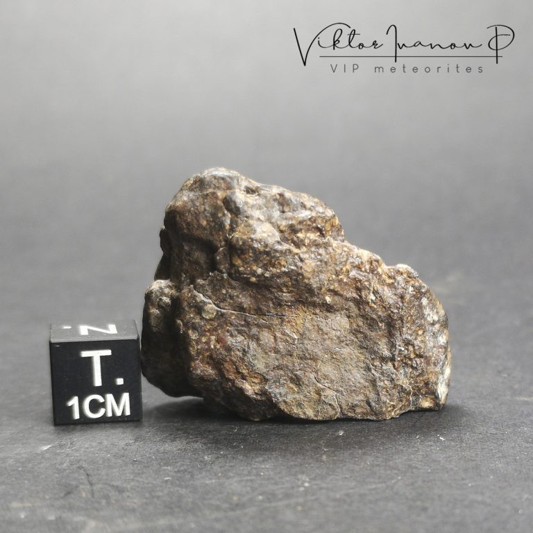 CV3 Carbonaceous chondrite meteorite (13g) - VIP Meteorites