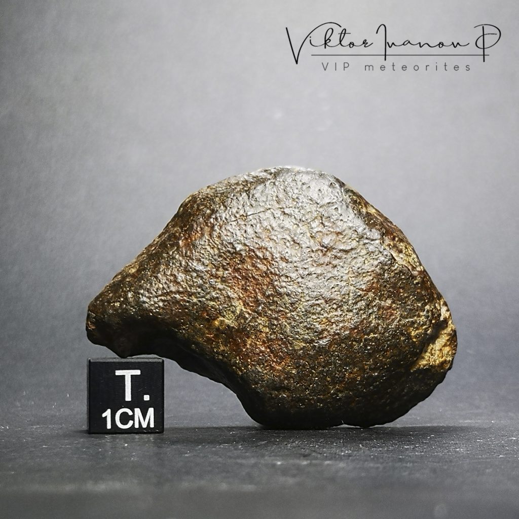 Ordinary chondrite meteorite. Nice shape rich in metal (60.8g) - VIP ...