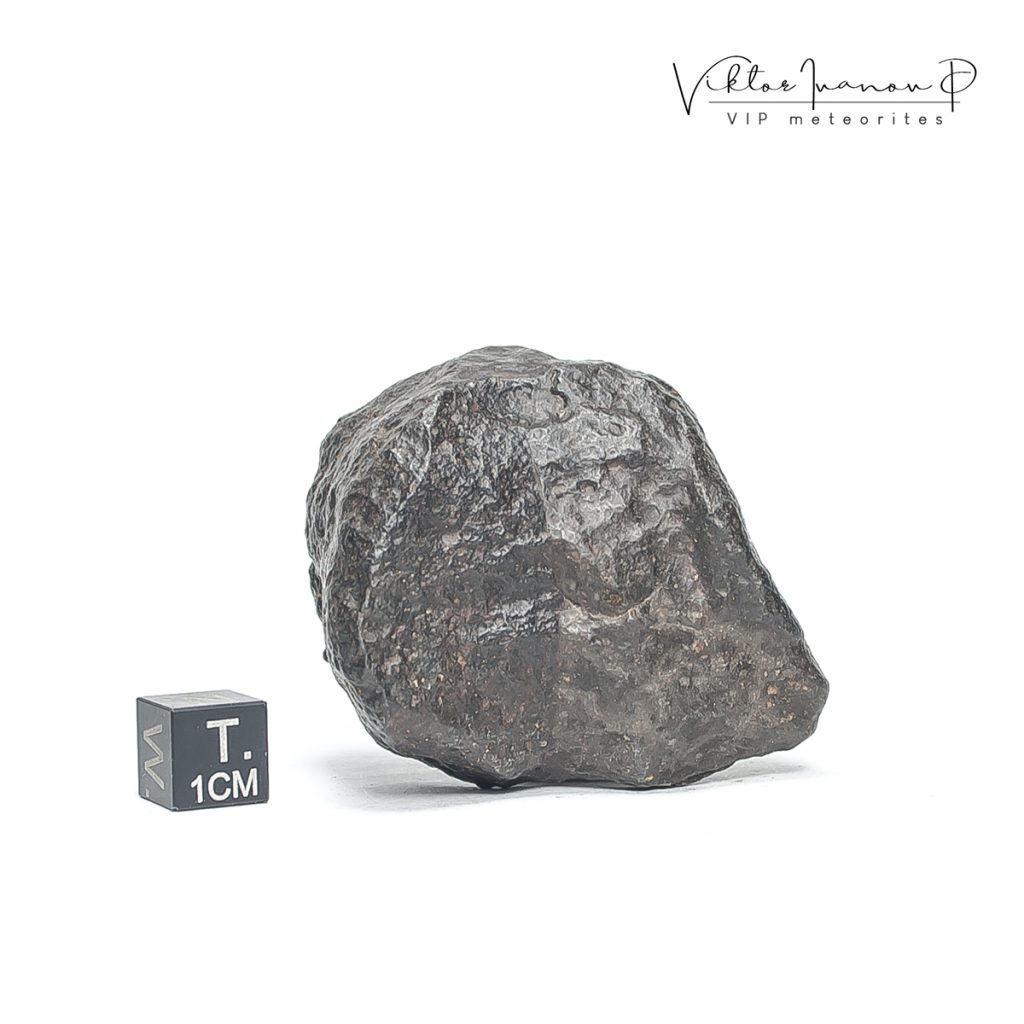 𝐍𝐨𝐫𝐭𝐡𝐰𝐞𝐬𝐭 𝐀𝐟𝐫𝐢𝐜𝐚 𝟏𝟑𝟔𝟖𝟑. Rumuruti chondrite (R3-6). Complet specimen (91 ...