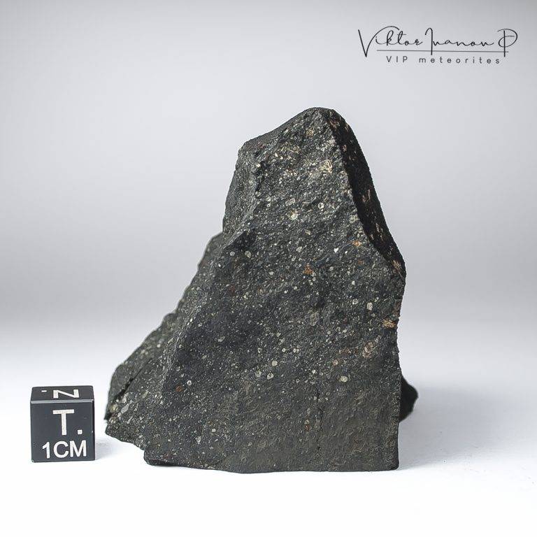 𝐌𝐮𝐫𝐜𝐡𝐢𝐬𝐨𝐧 𝐦𝐞𝐭𝐞𝐨𝐫𝐢𝐭𝐞- VIP Meteorites